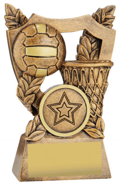30437AA Netball Trophy - RECOGNIZEME Trophies and Medals