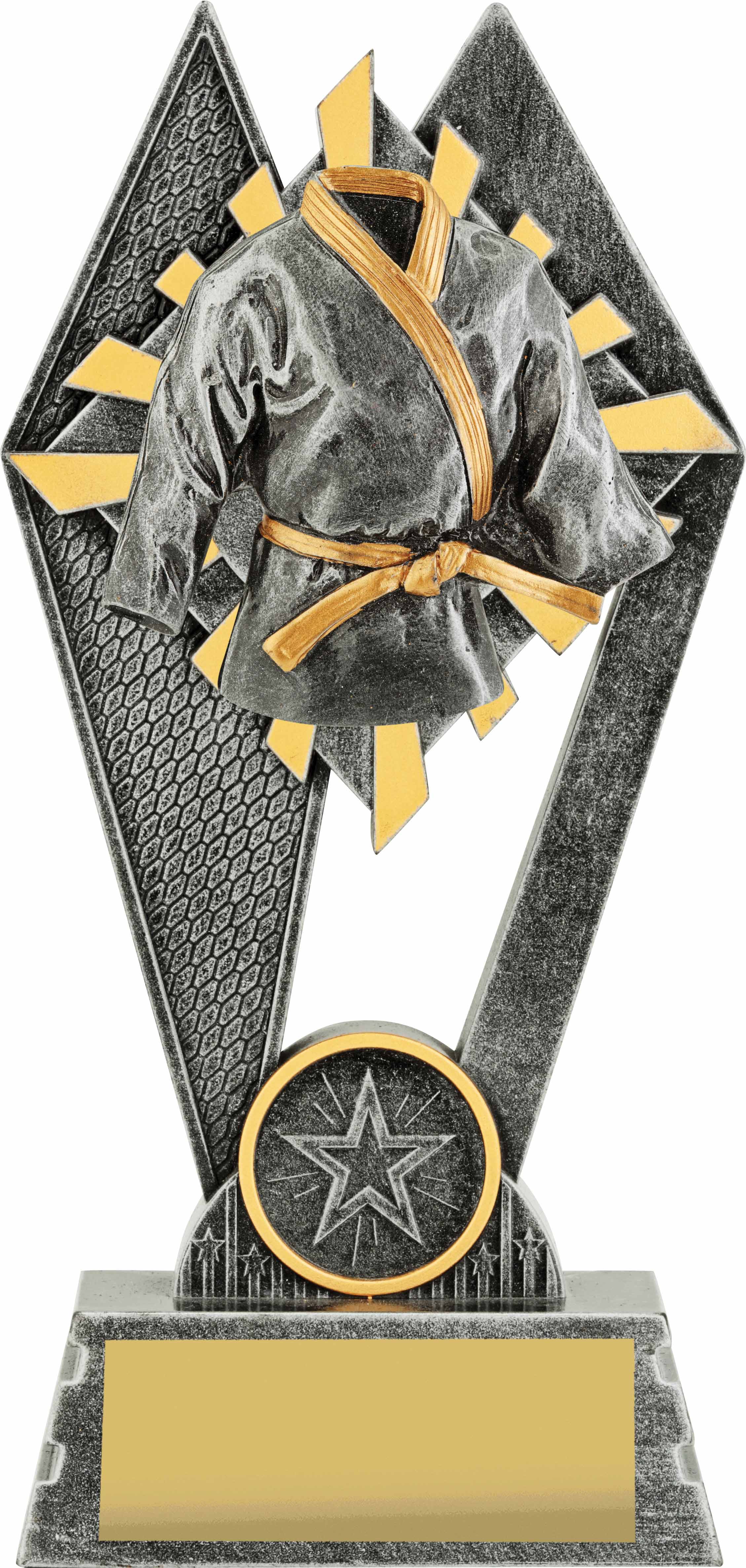 P245A Martial Arts Trophy - RECOGNIZEME Trophies and Medals