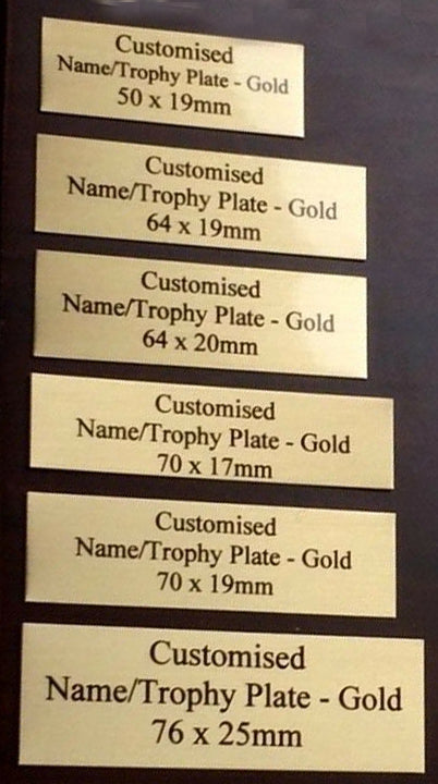 Engraved Trophy Plaque - RECOGNIZEME Trophies and Medals